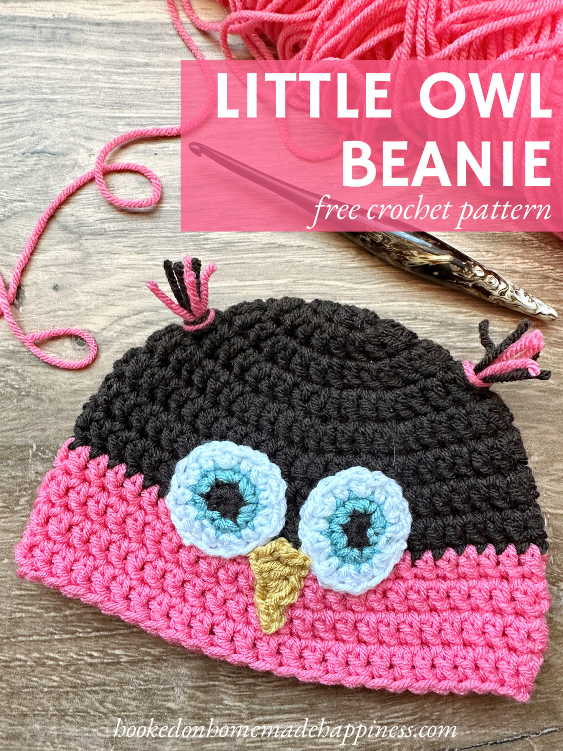 Little Owl Beanie Crochet Pattern - Hooked on Homemade Happiness