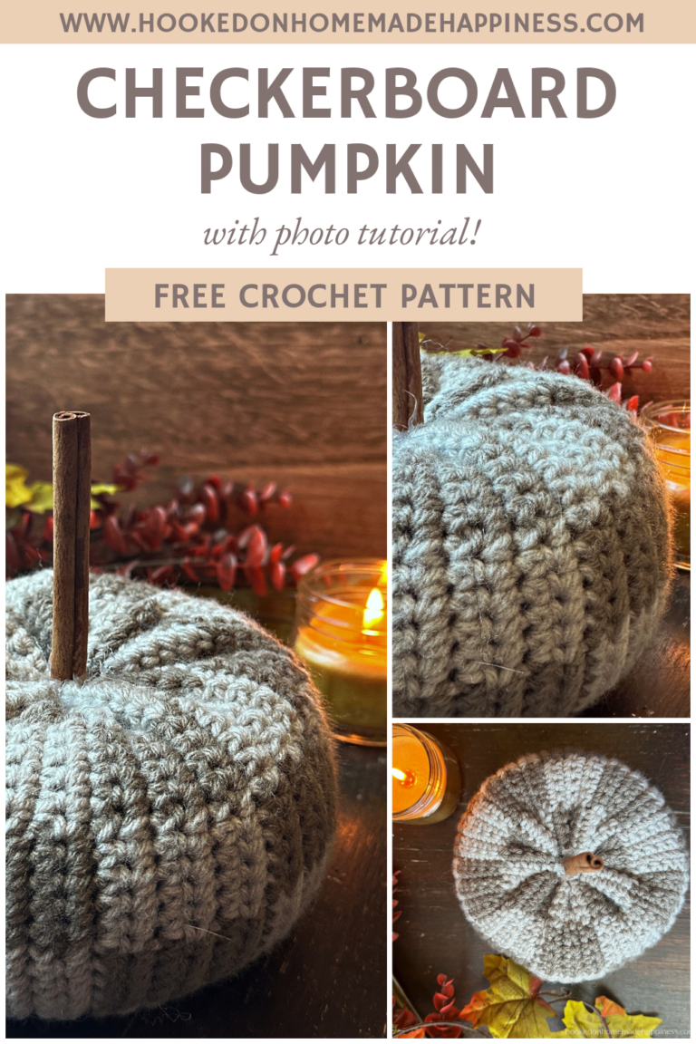 Checkerboard Pumpkin Crochet Pattern - Hooked on Homemade Happiness